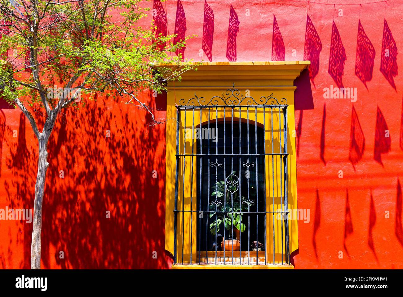 Colonial era architecture, Historical city centre , Oaxaca Mexico Stock ...