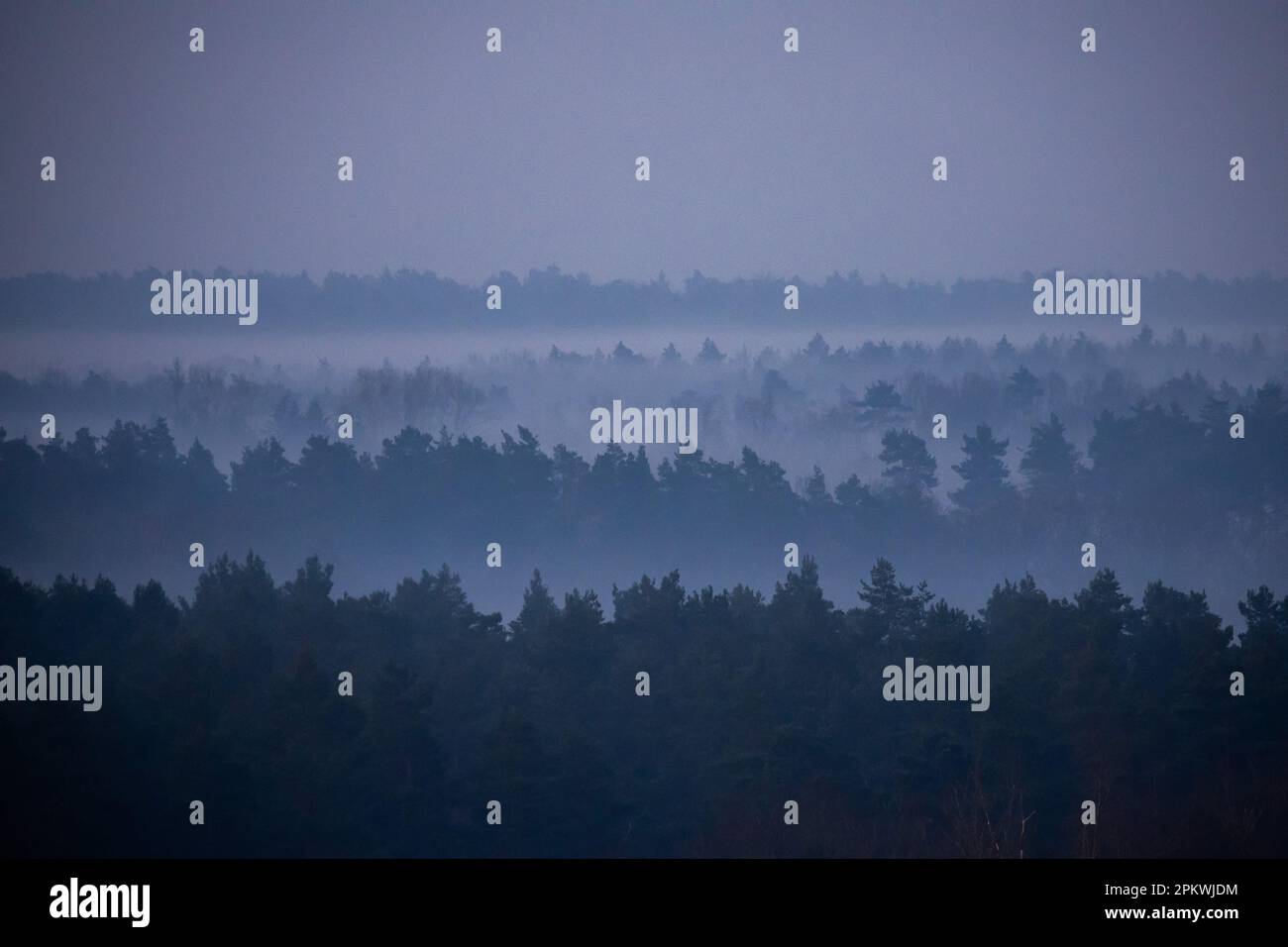 Berlin, Germany. 10th Apr, 2023. Clouds of fog can be seen over Berlin ...