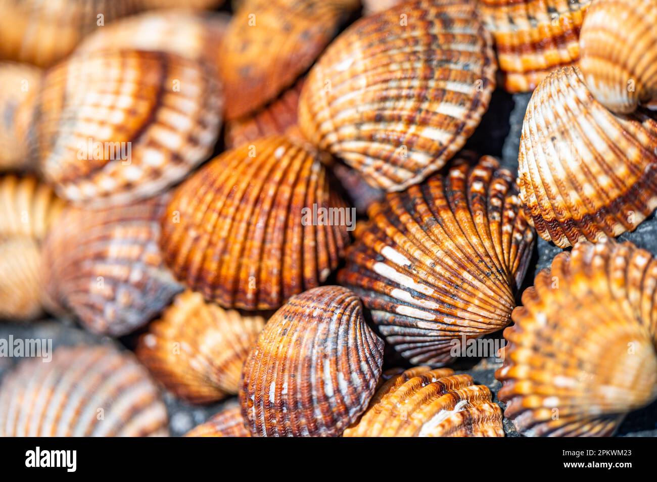 Coral beach and spain hi-res stock photography and images - Alamy