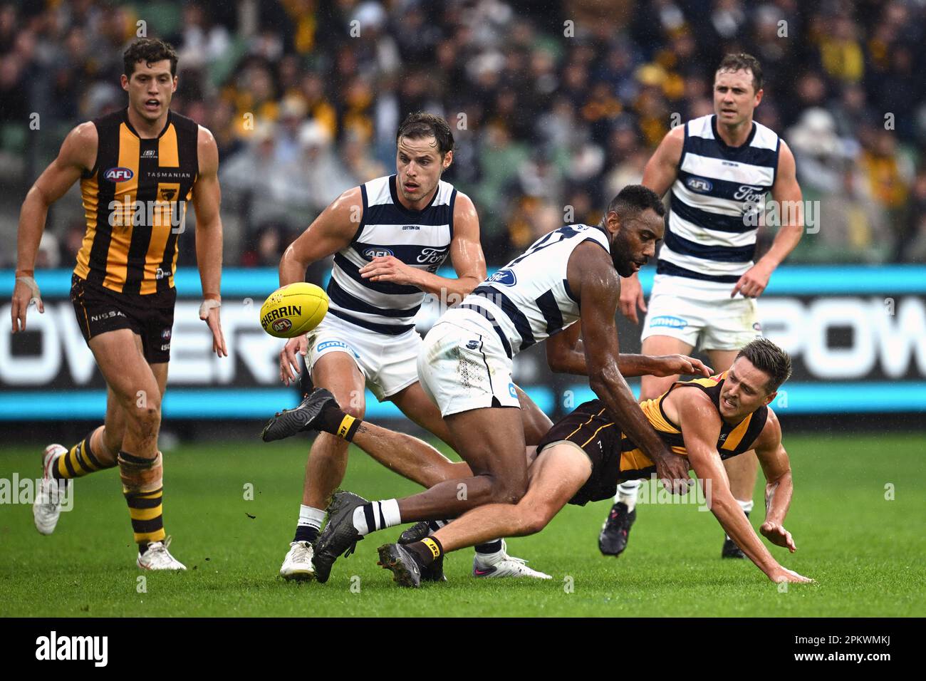 Esava Ratugolea of Geelong tackles Fergus Greene of Hawthorn during the ...