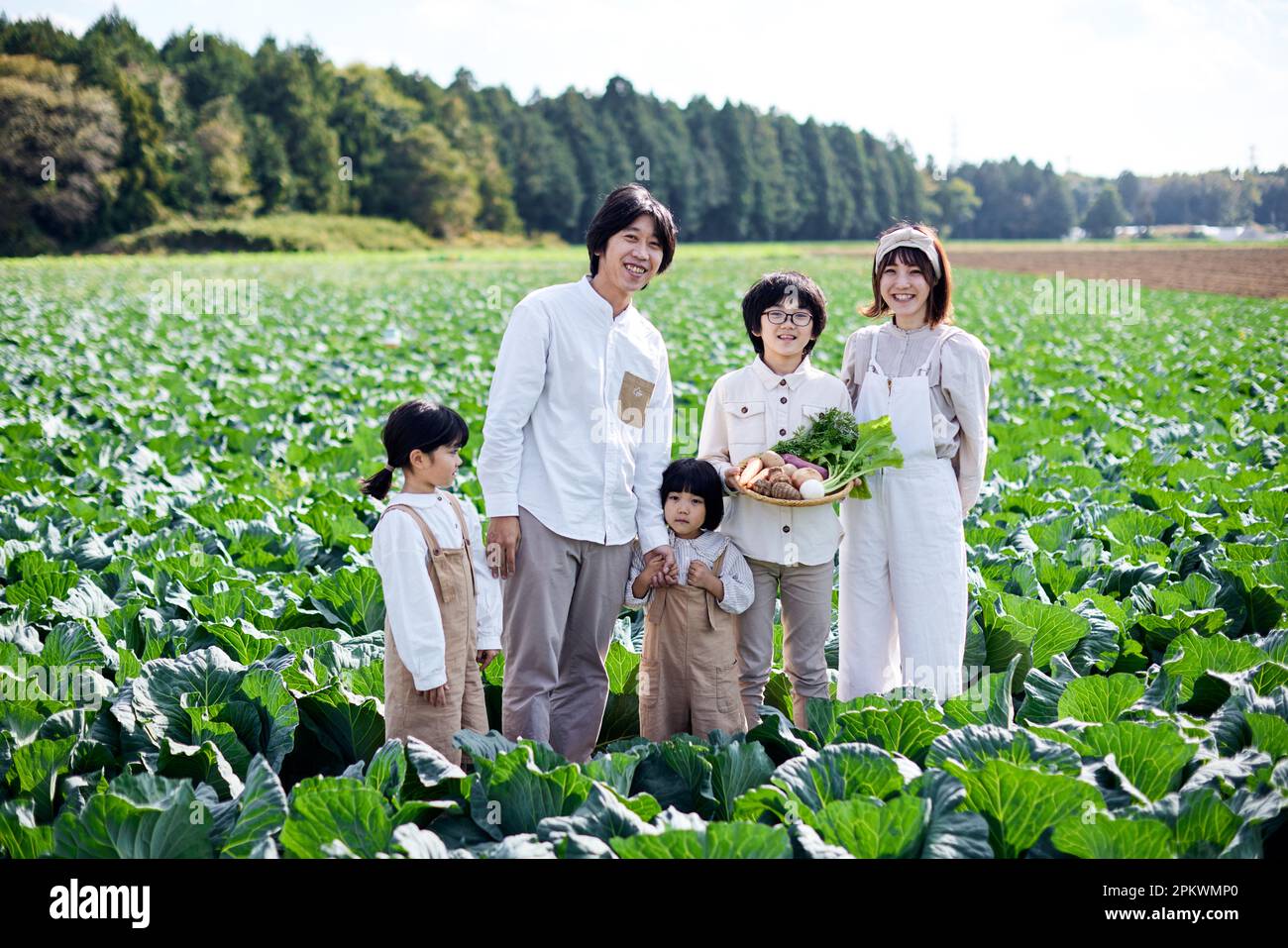 Japanese family working at vegetable garden Stock Photo - Alamy