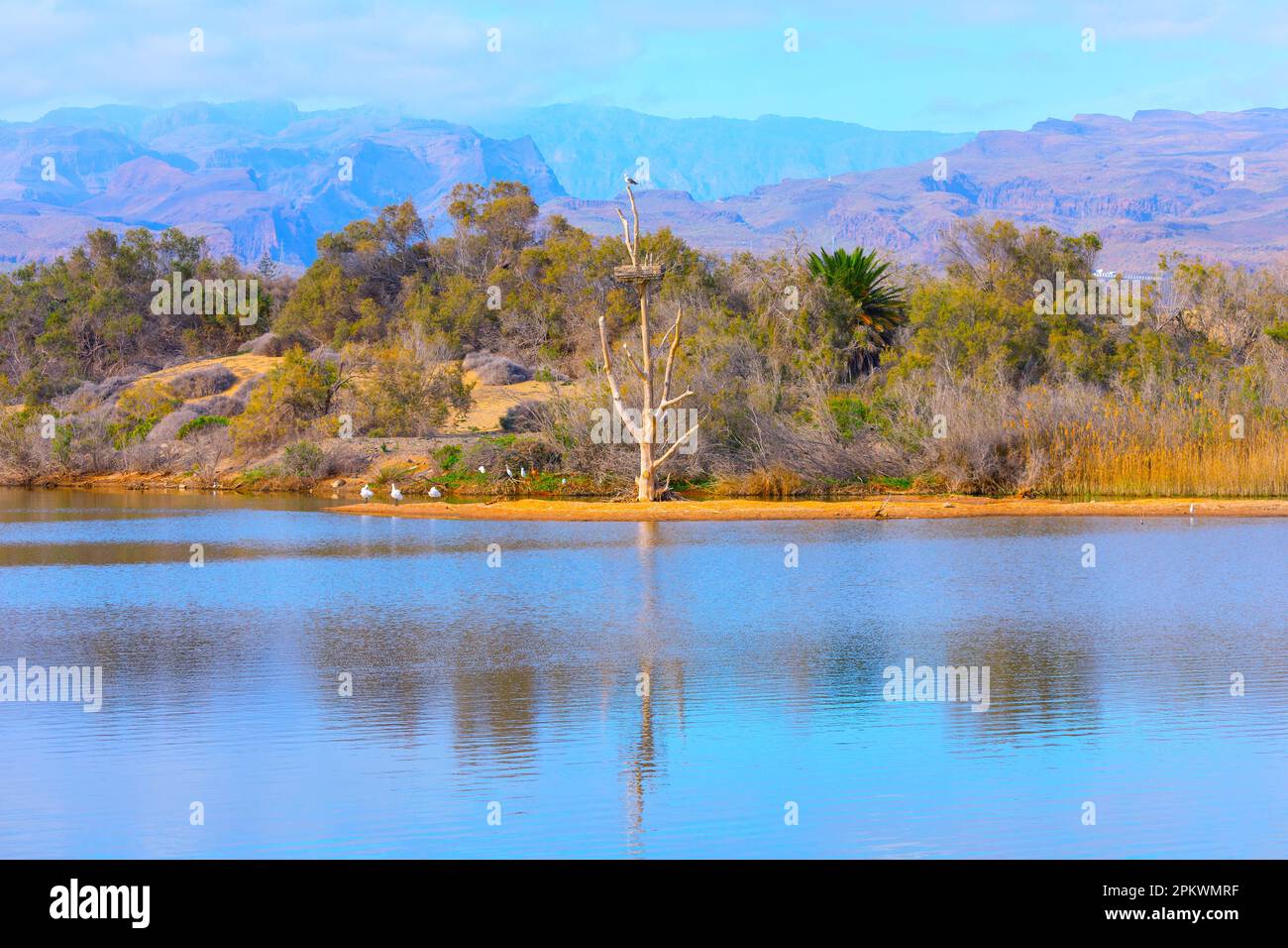 Birdwatching Site . Scenery with lake and mountains Stock Photo - Alamy