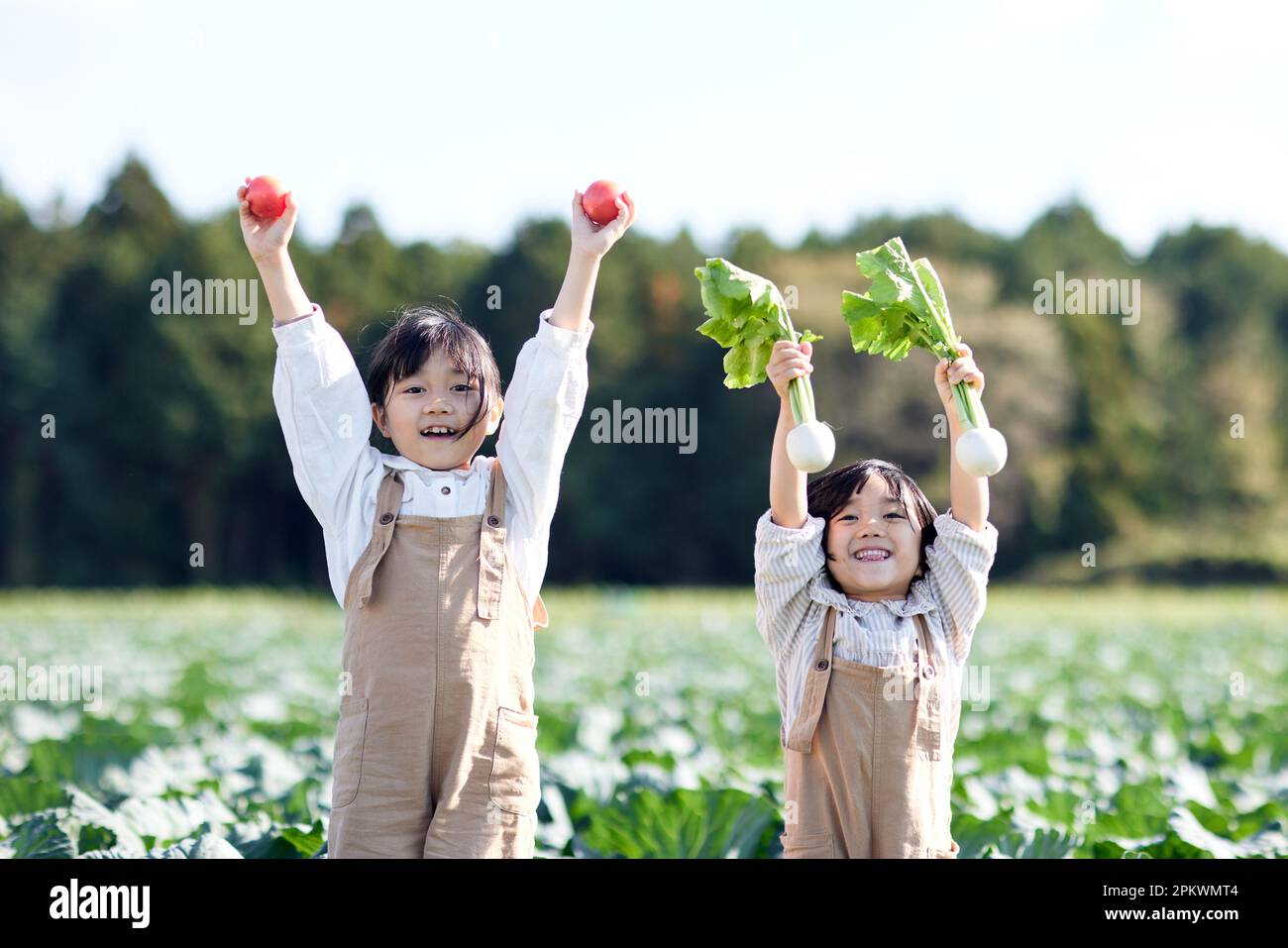 Kids japanese garden hi-res stock photography and images - Alamy