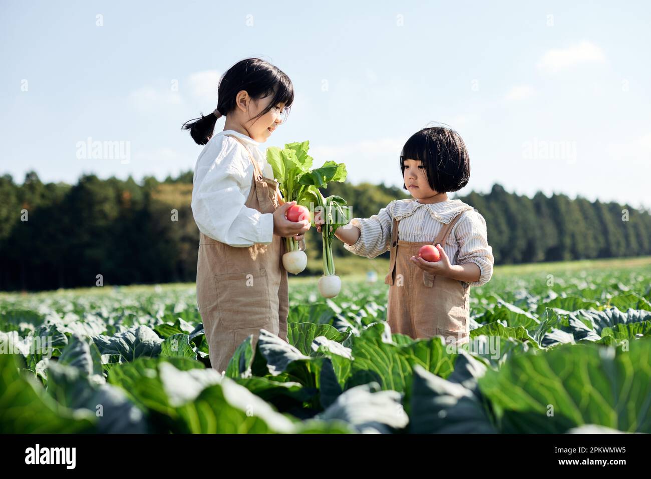 Japanese kids working at vegetable garden Stock Photo - Alamy