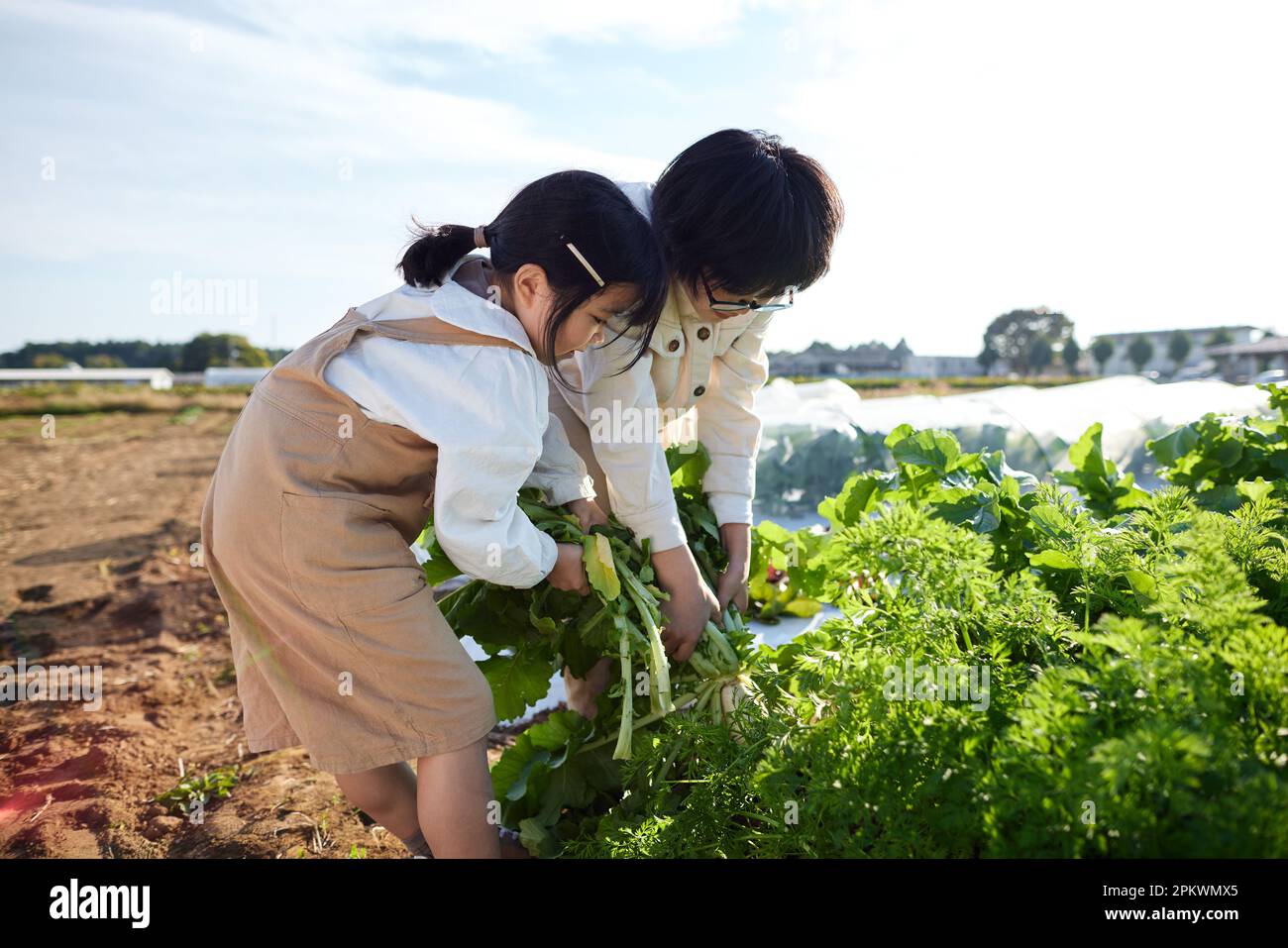 Good work sister hi-res stock photography and images - Alamy