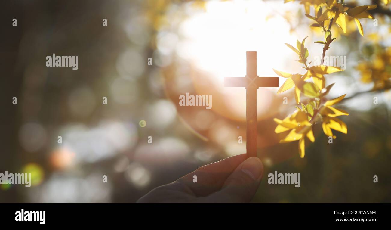 On a warm spring day with strong sunlight, he is holding yellow ...