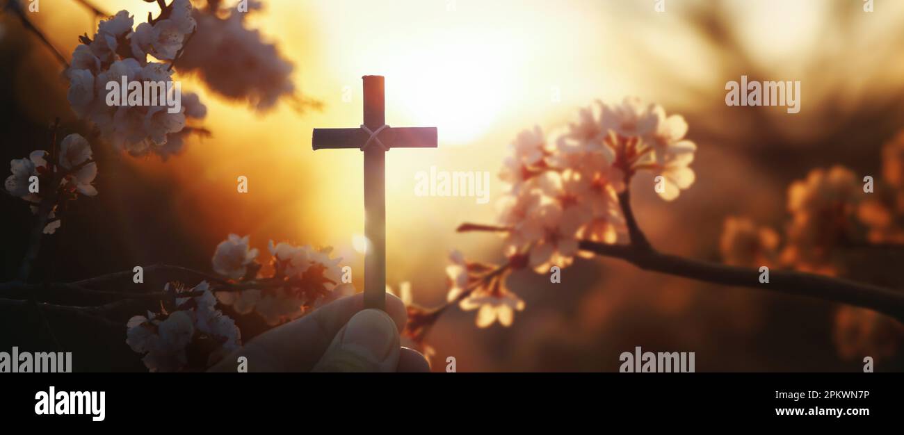 Background with red sunset and spring cherry blossoms and Christian ...