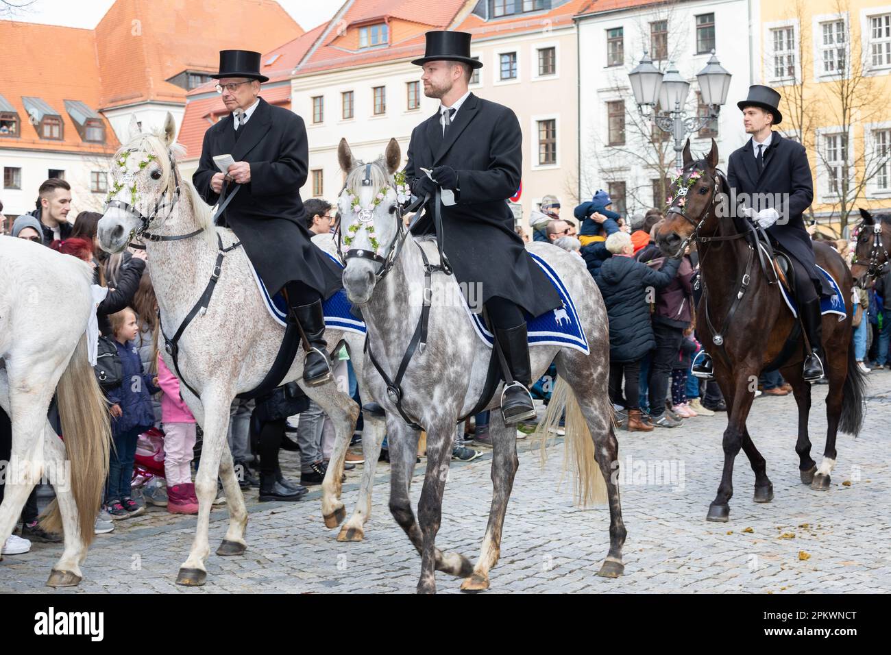 Osterhase horse hi-res stock photography and images - Alamy