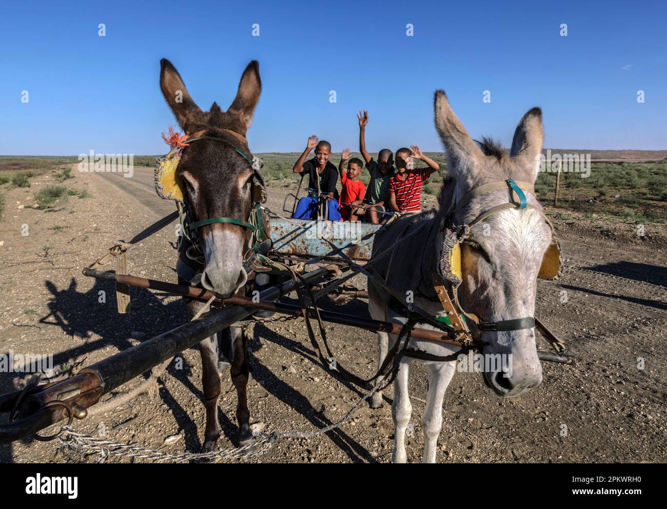 Boys on a donkey cart wave at me on the gravel road between the ...