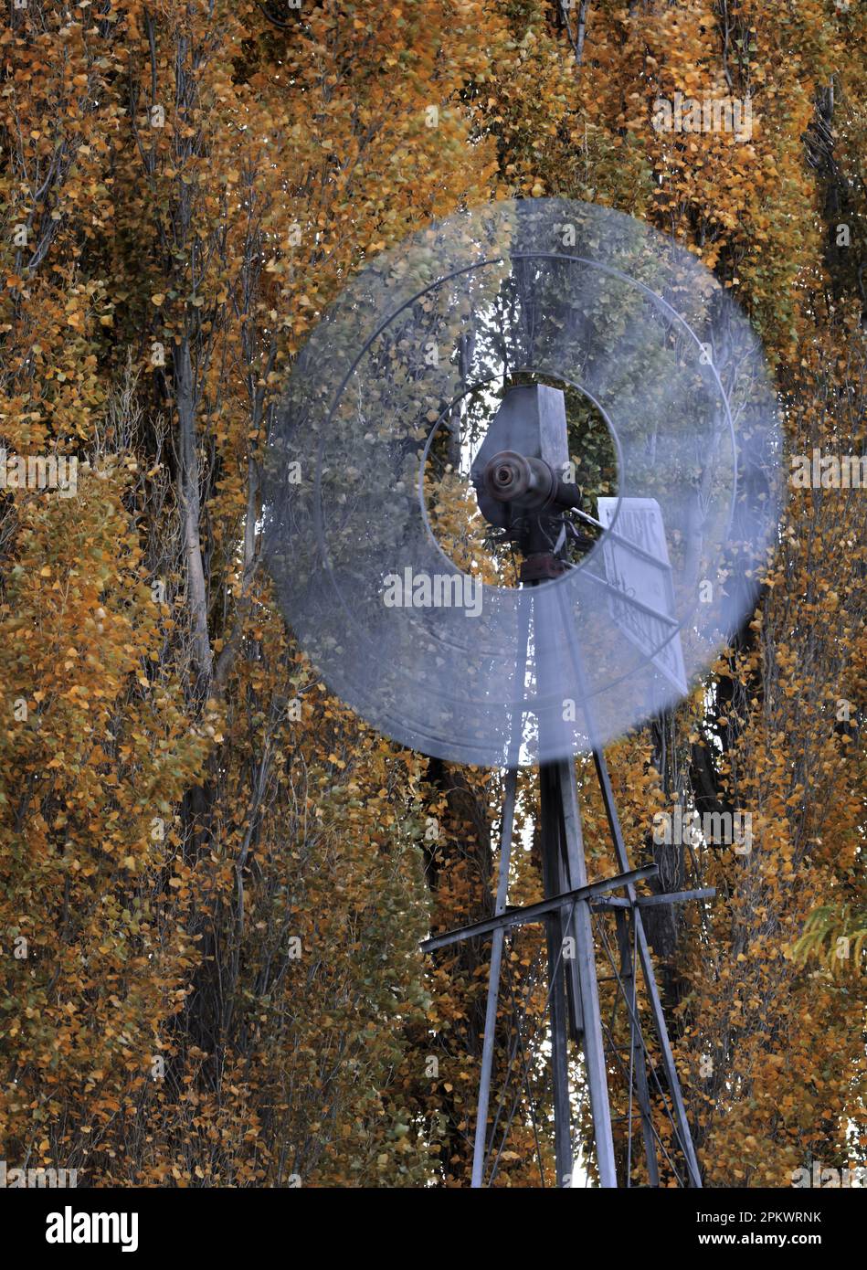 Windmill and Poplar trees in late Autumn. Nieu-Bethesda. Eastern Cape ...