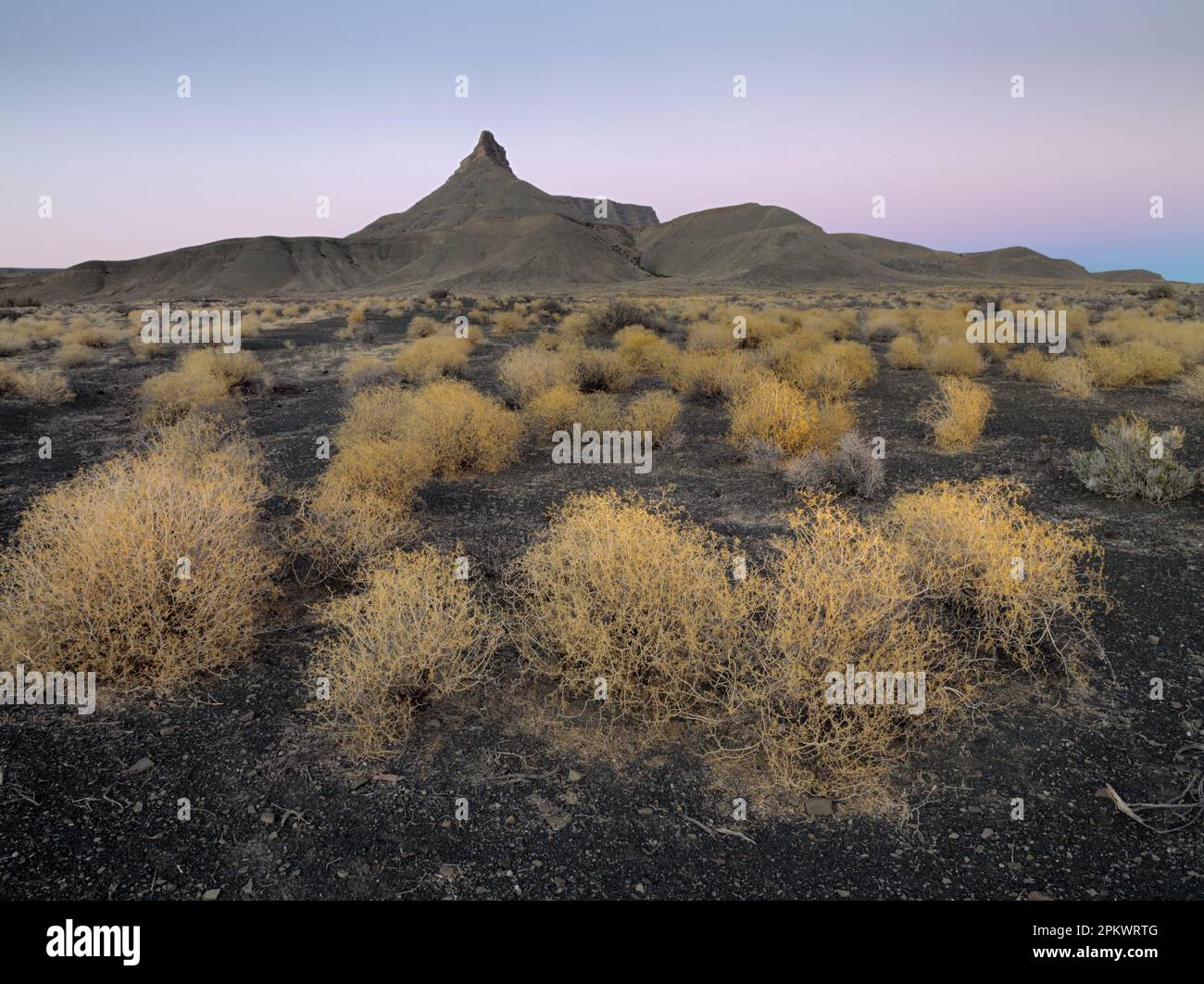 Through eons of time, the shale rock of these Cape Sandstone mountains ...