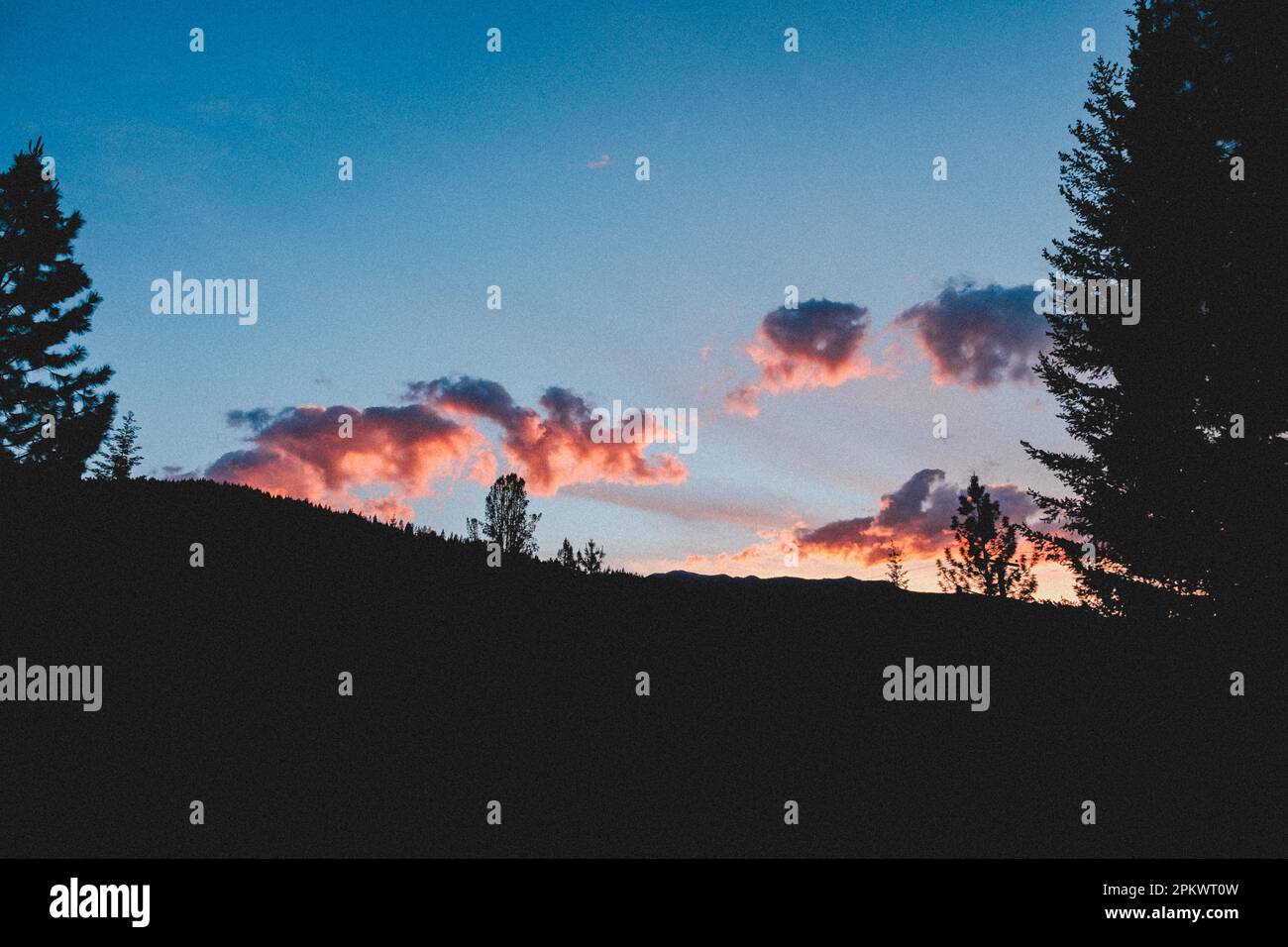 The vivid pink clouds at the blue hour illuminated against a backdrop ...