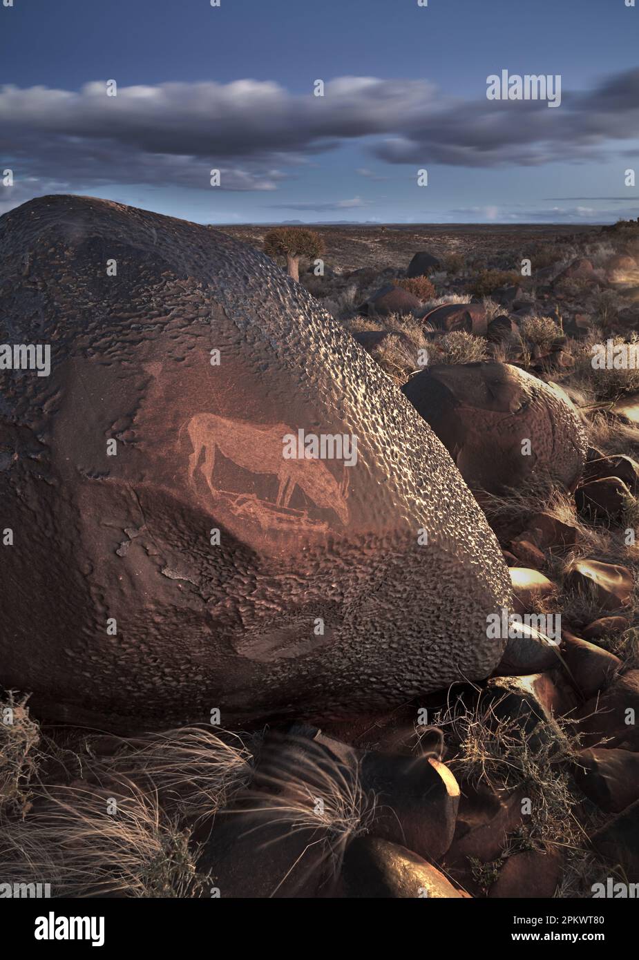 Bushman rock scratching on Grootspringbokoog Farm near Vanwyksvlei ...