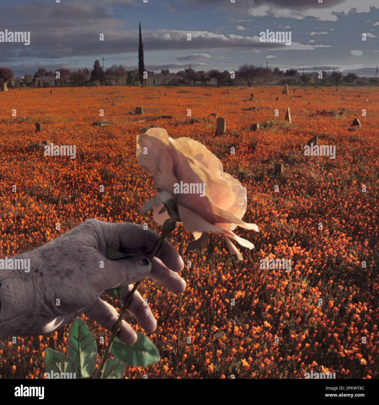 Loeriesfontein hi-res stock photography and images - Alamy