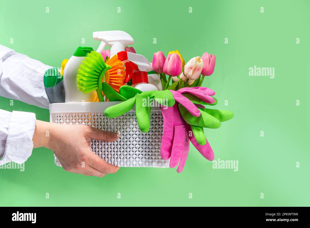 Set of cleaning supplies and utensils, with spring flowers on high ...