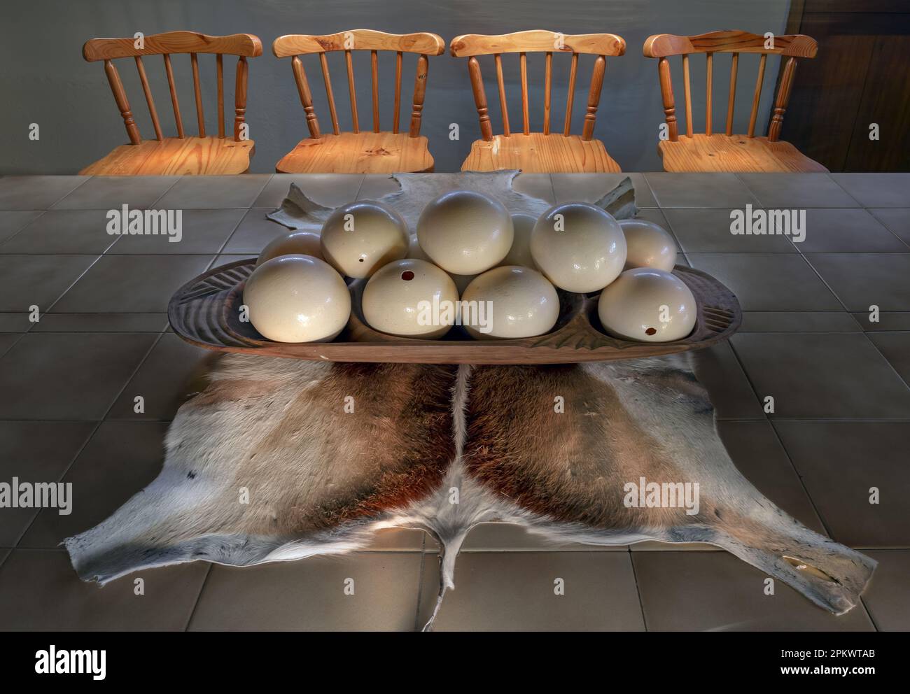 Gazelle skin hi-res stock photography and images - Alamy
