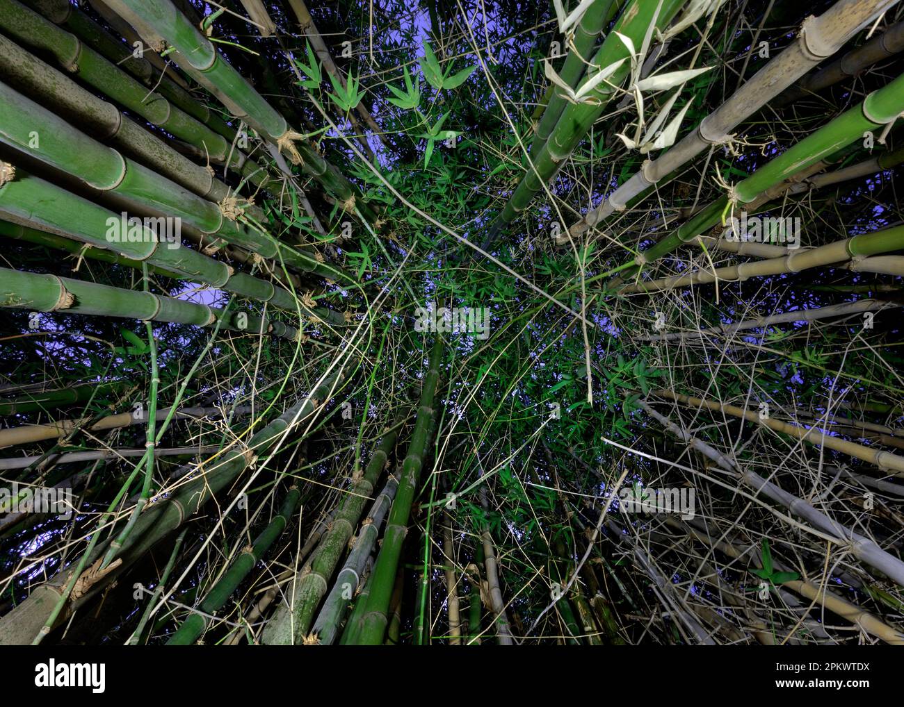 Van wyksdorp hi-res stock photography and images - Alamy
