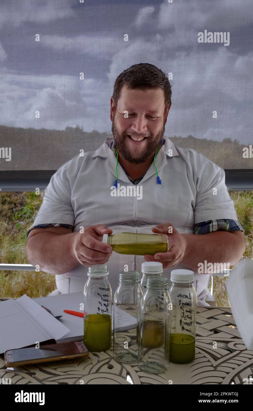 Kallie Frey; the olive oil sommelier; looks at his test oils Stock ...
