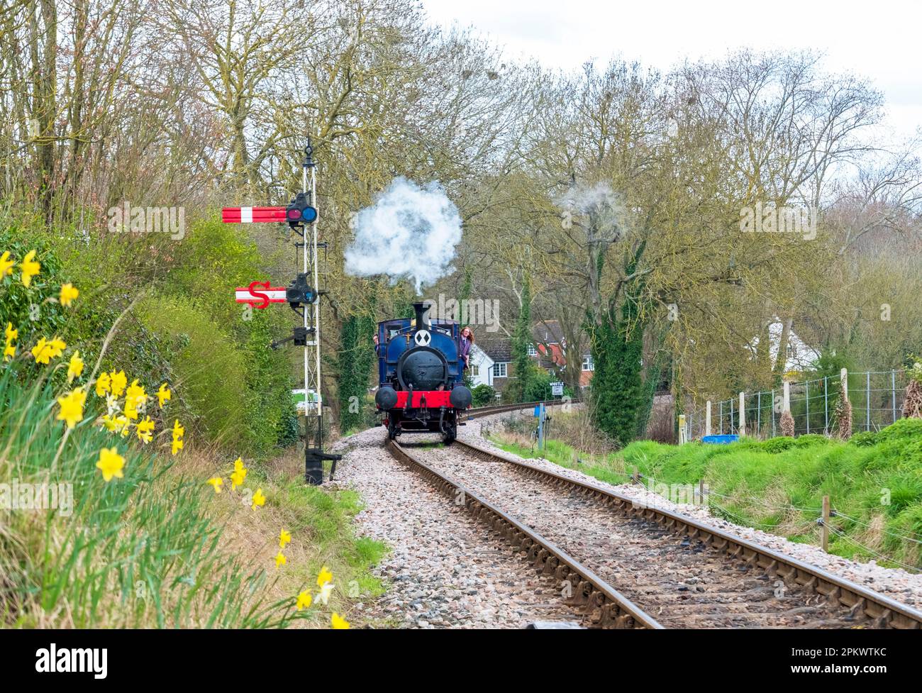 Vintage steam engine approaching Tenterden, Kent, UK Stock Photo - Alamy