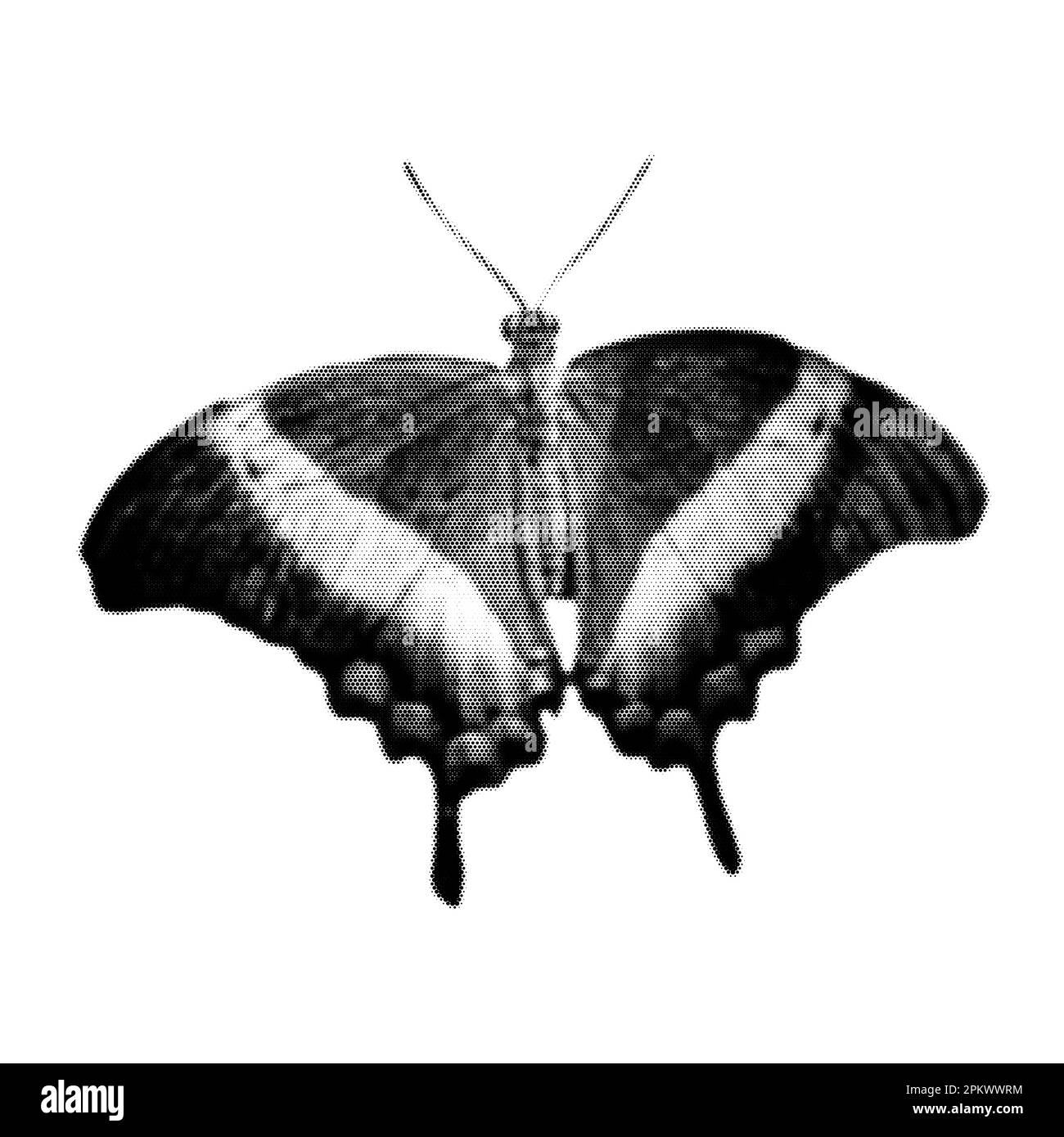 Halftone butterfly. Collage design element in trendy magazine style ...