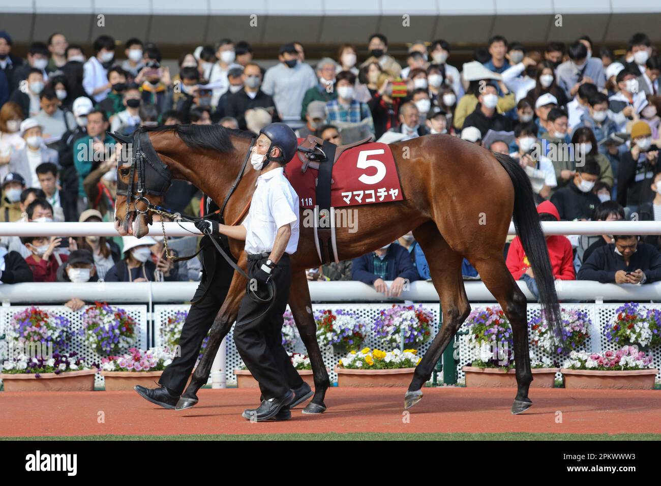 Mama cocha hi-res stock photography and images - Alamy