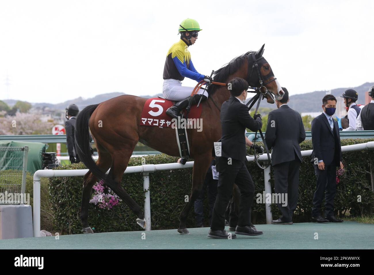 Mama cocha hi-res stock photography and images - Alamy