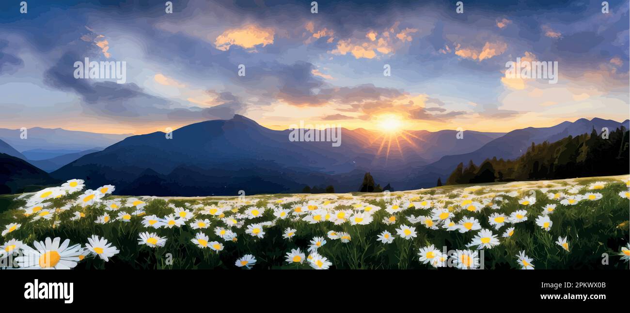 Mountain Wildflowers Wallpaper