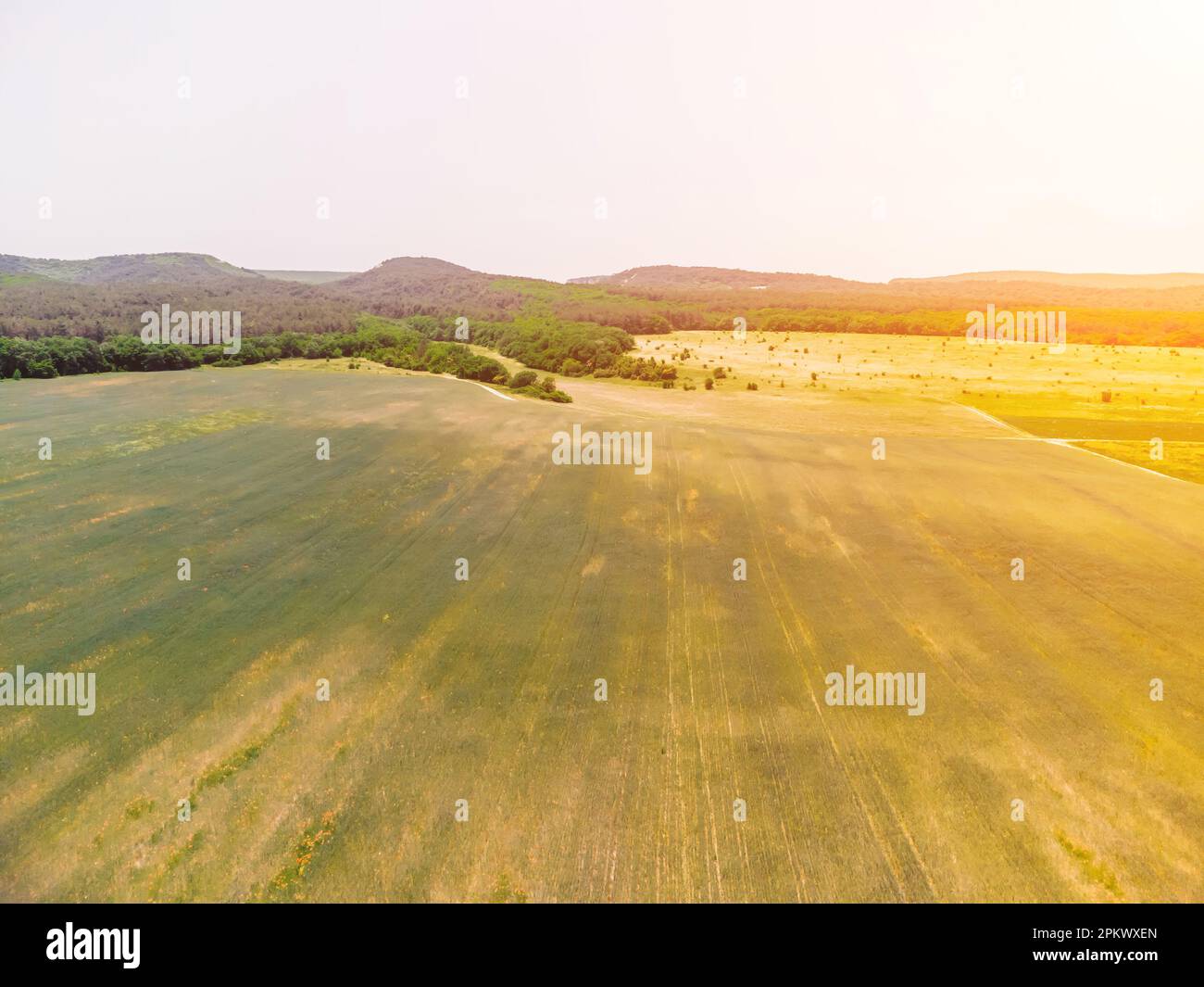 Aerial view on green wheat field in countryside. Field of wheat blowing ...