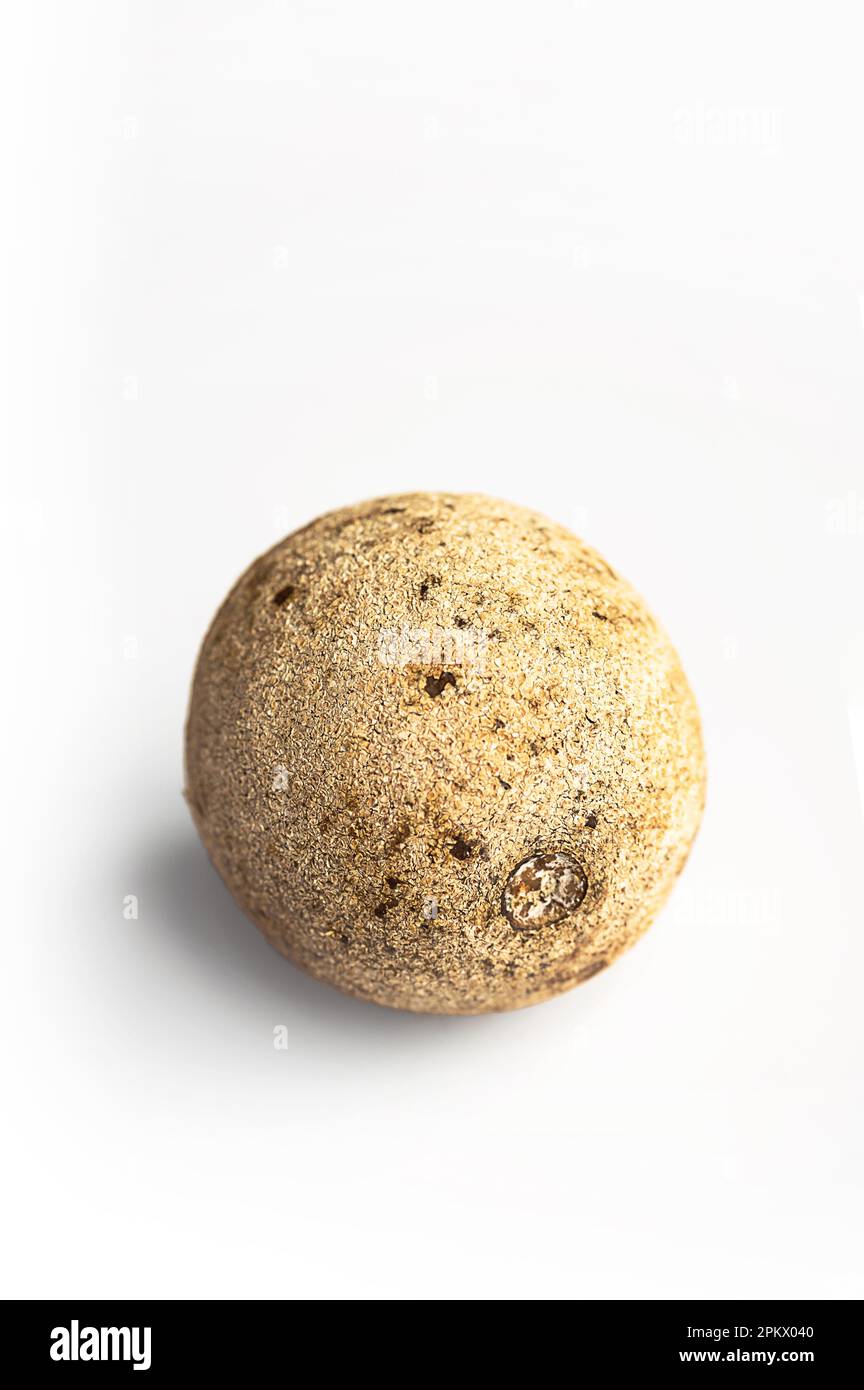 Feronia limonia Cut Out Stock Images & Pictures - Alamy