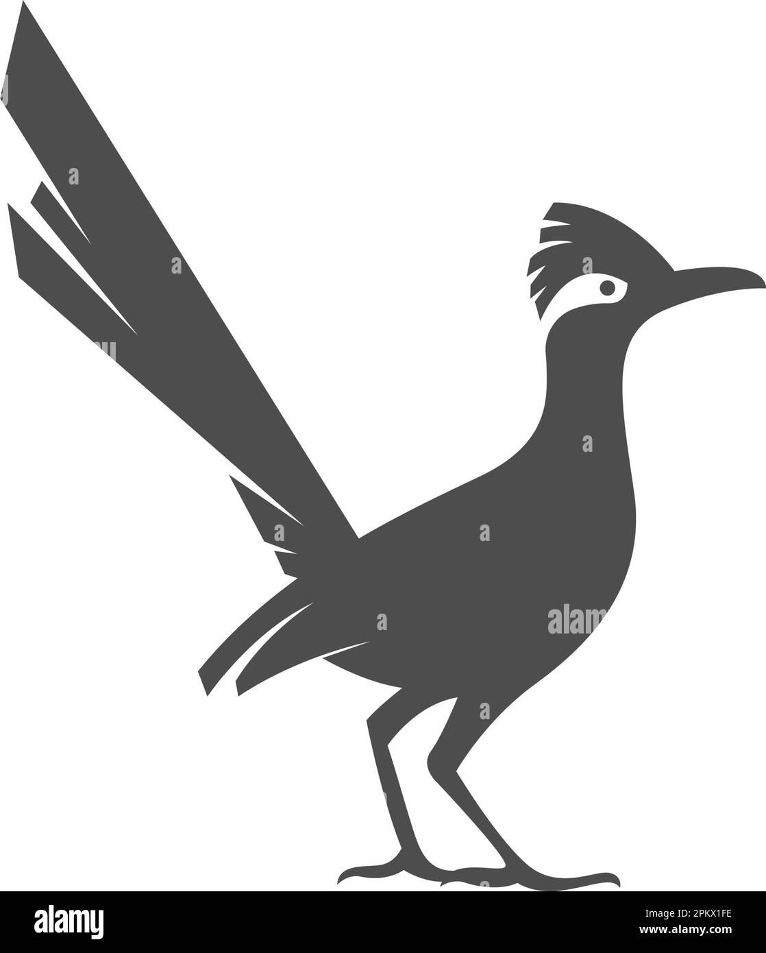 Greater roadrunner desert Cut Out Stock Images & Pictures - Alamy