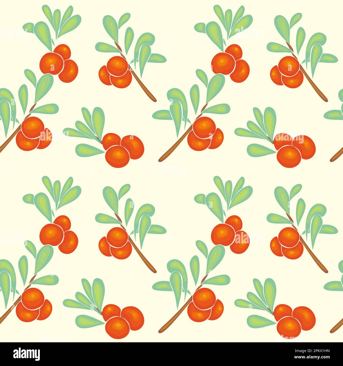 Pattern with branches and berries of cranberries, lingonberries, hand ...