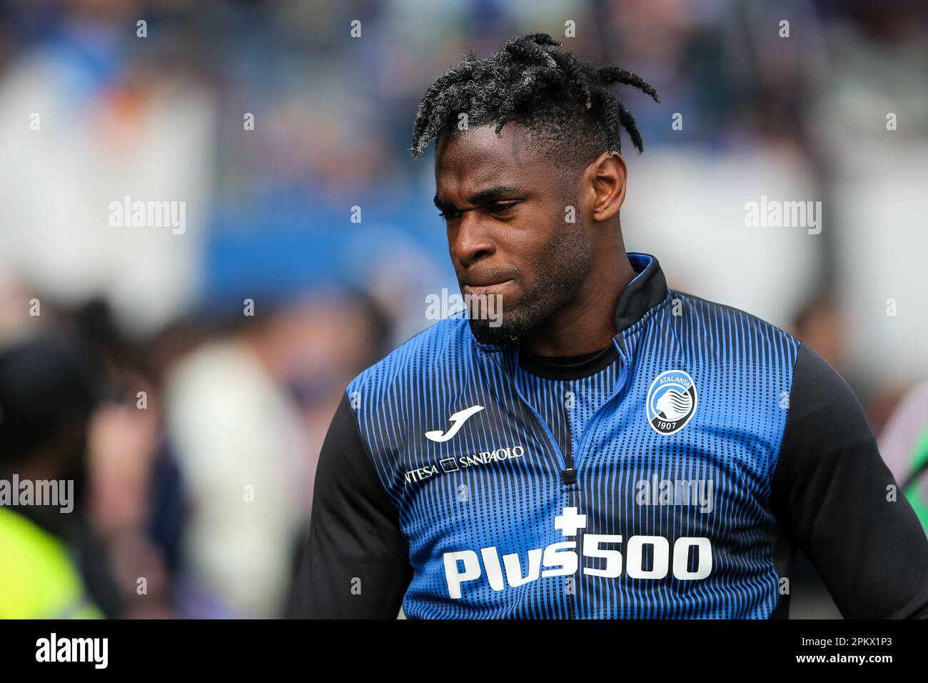 Bologna duvan hi-res stock photography and images - Alamy