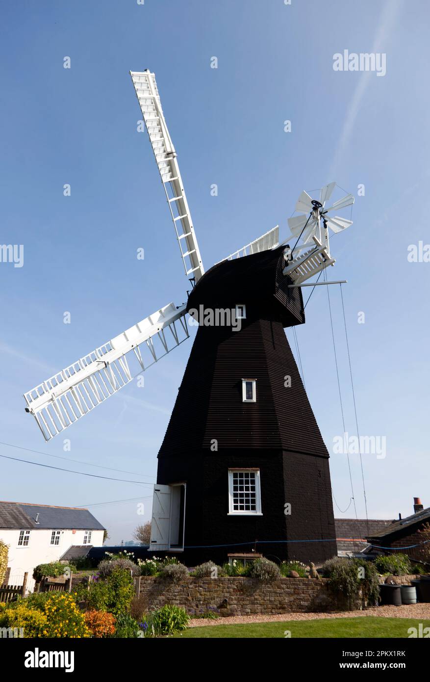 View of Ripple Windmill Mill, Ringwould, Kent Stock Photo - Alamy