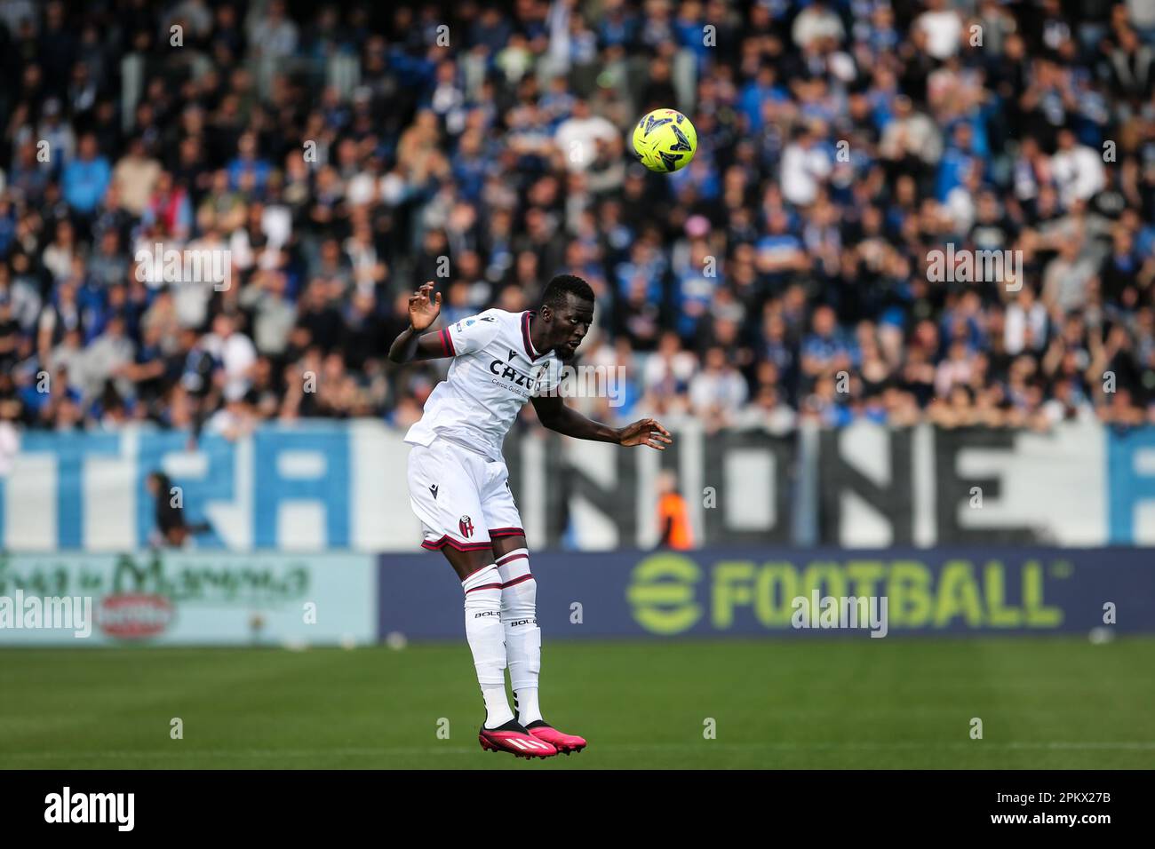 Barrow bologna hi-res stock photography and images - Alamy