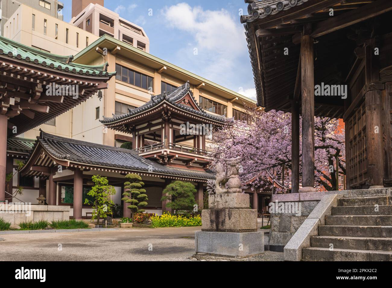 Tochoji, a Shingon temple in Hakata, Fukuoka, Japan Stock Photo - Alamy