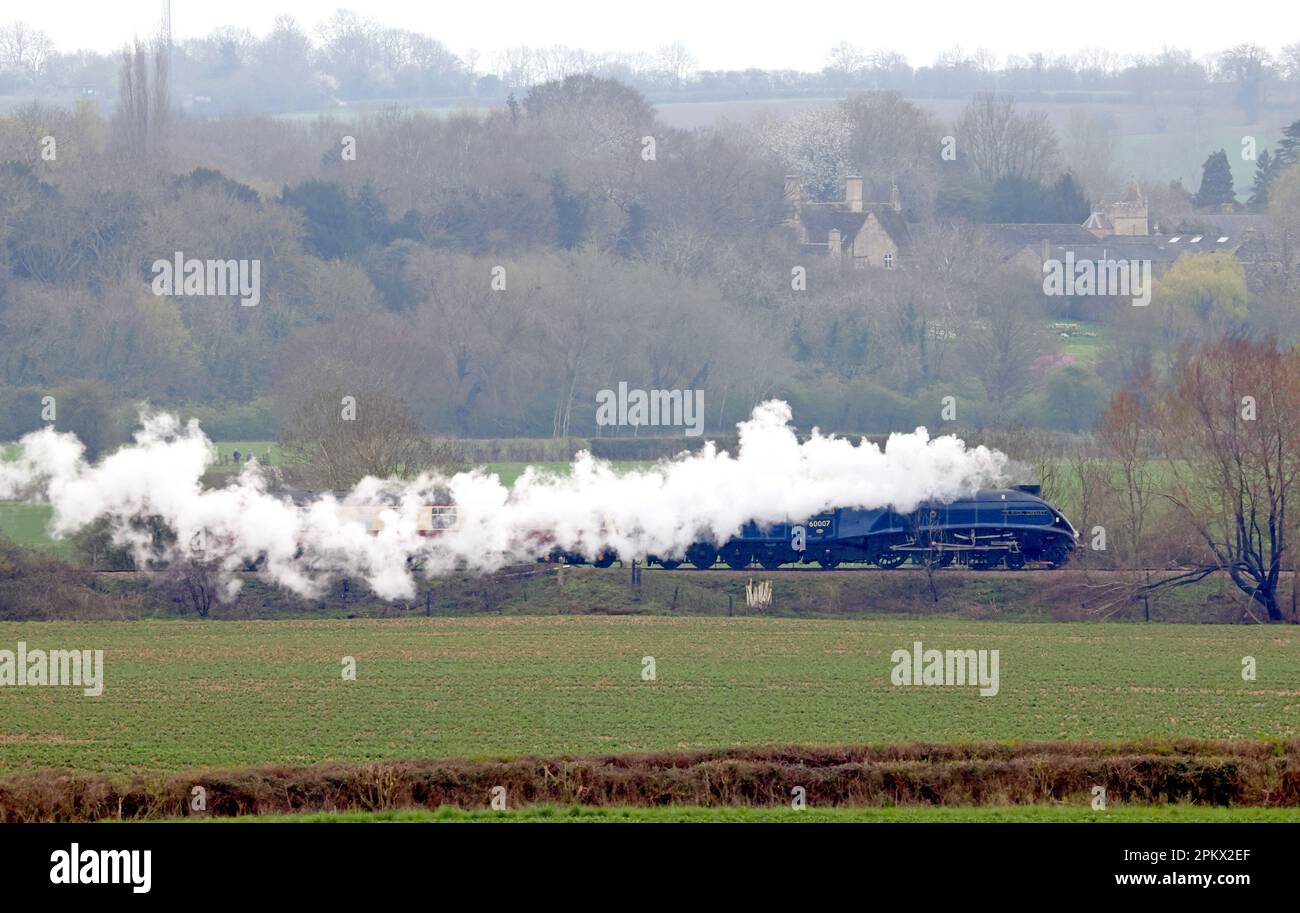 The steam locomotive Sir Nigel Gresley 60007, looking resplendent in ...