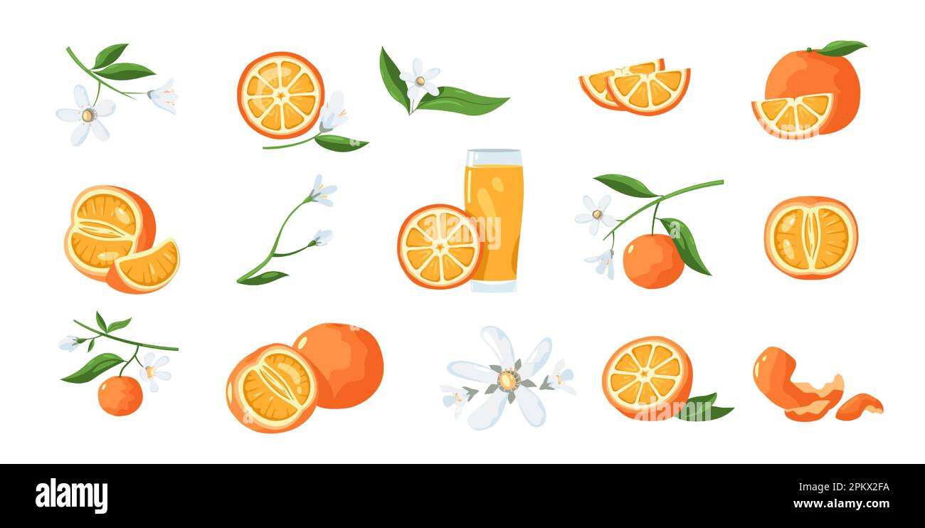 Growth juice fruit Stock Vector Images - Alamy