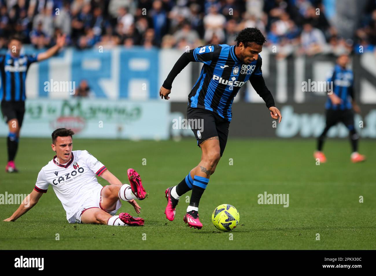 Ederson atalanta hi-res stock photography and images - Alamy