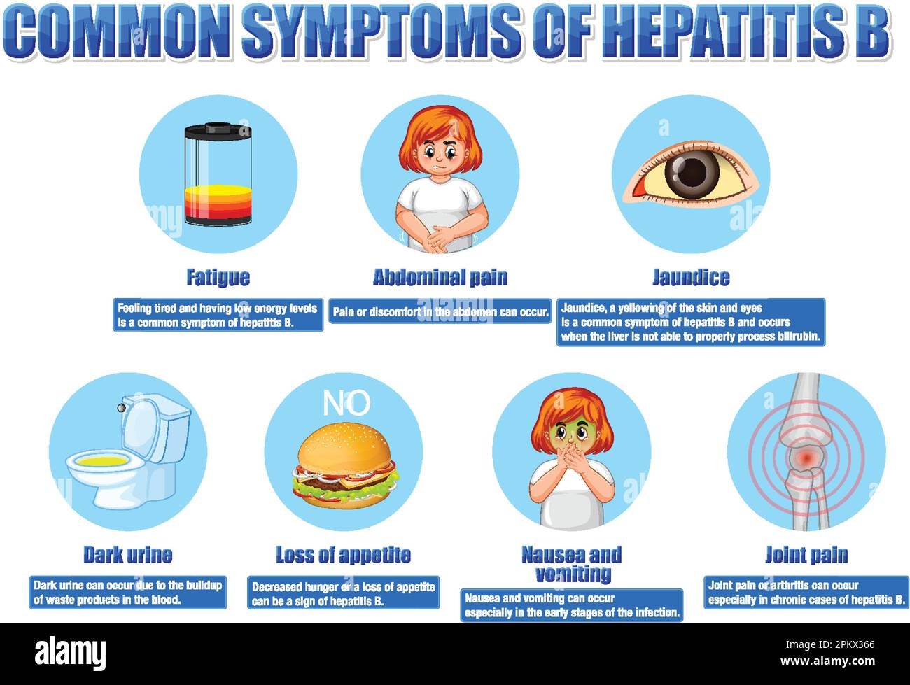 Informative poster of common symptoms Hepatitis B illustration Stock Vector Image & Art - Alamy