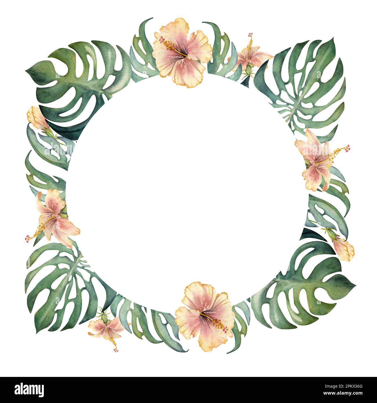 Hand drawn watercolor exotic monstera leaves and hibiscus flowers ...