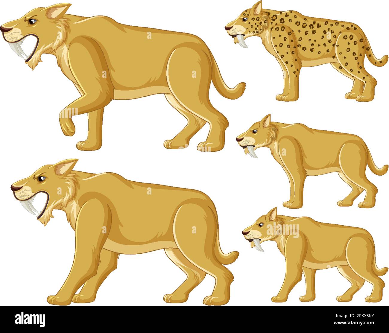 Saber-toothed Cats cartoon character collection illustration Stock ...