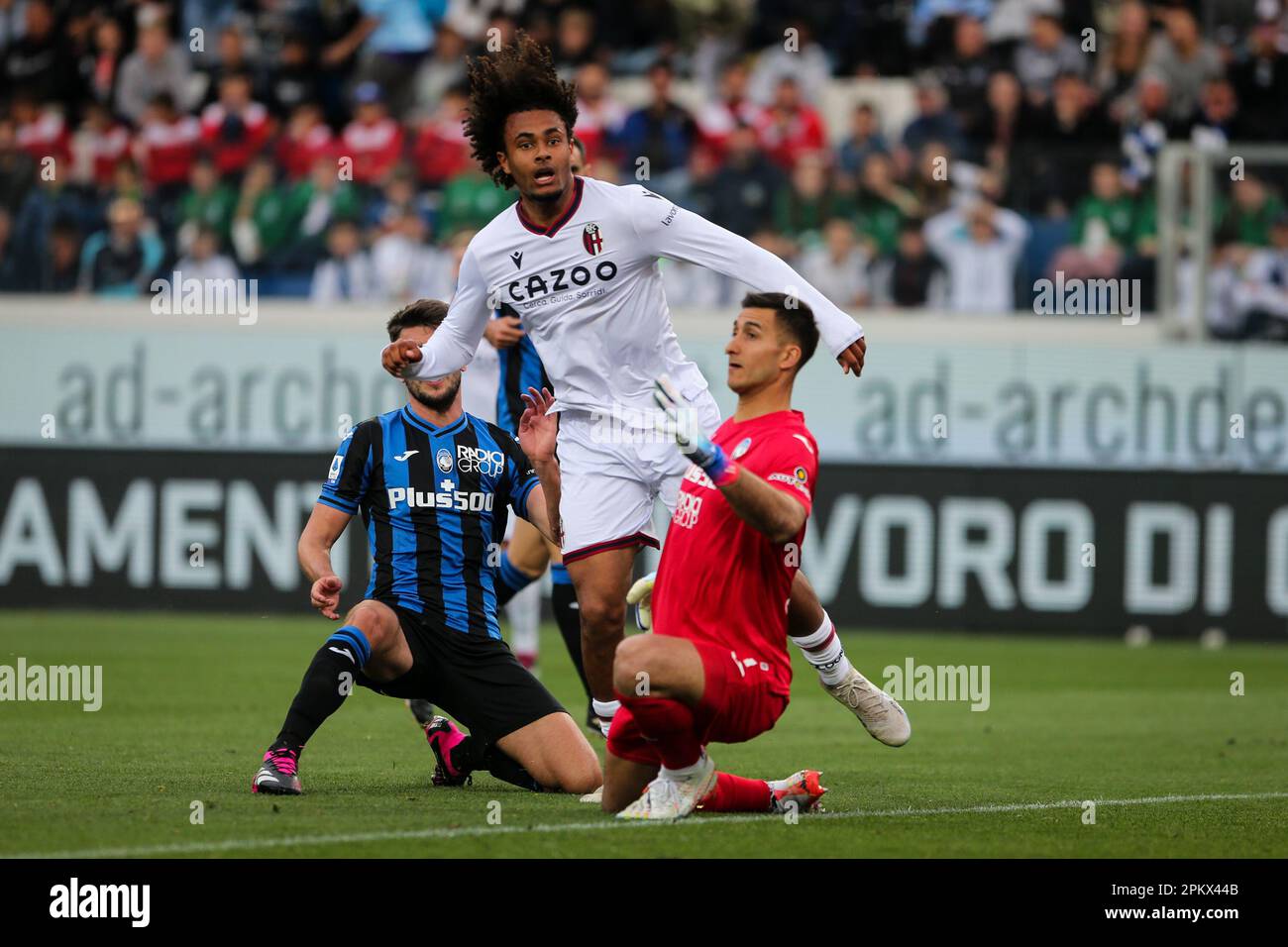 Joshua Zirkzee, Bologna playr Stock Photo - Alamy