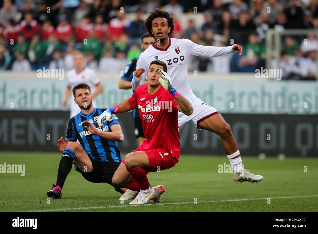 Joshua Zirkzee, Bologna playr Stock Photo - Alamy