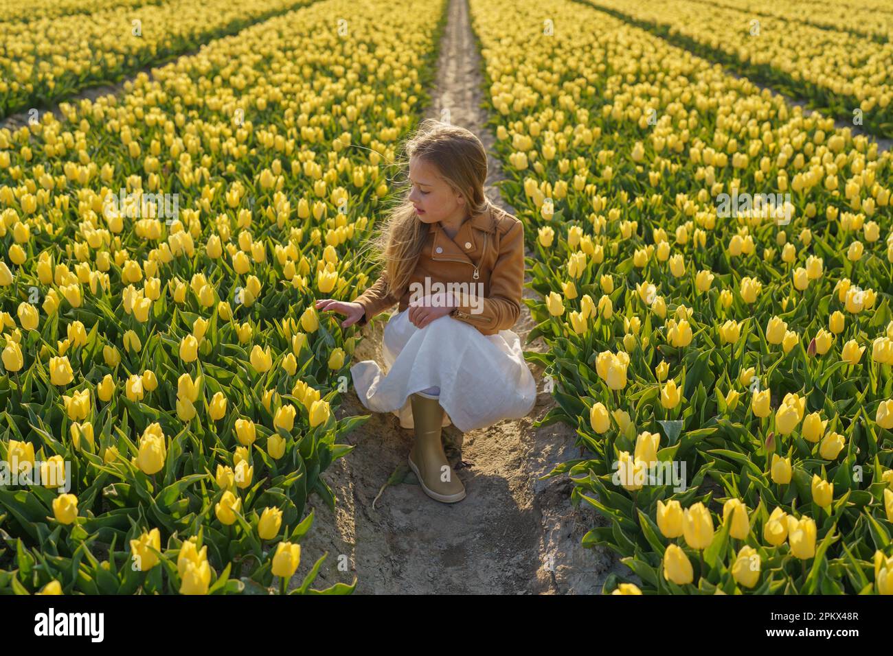 Colorfull field hi-res stock photography and images - Alamy