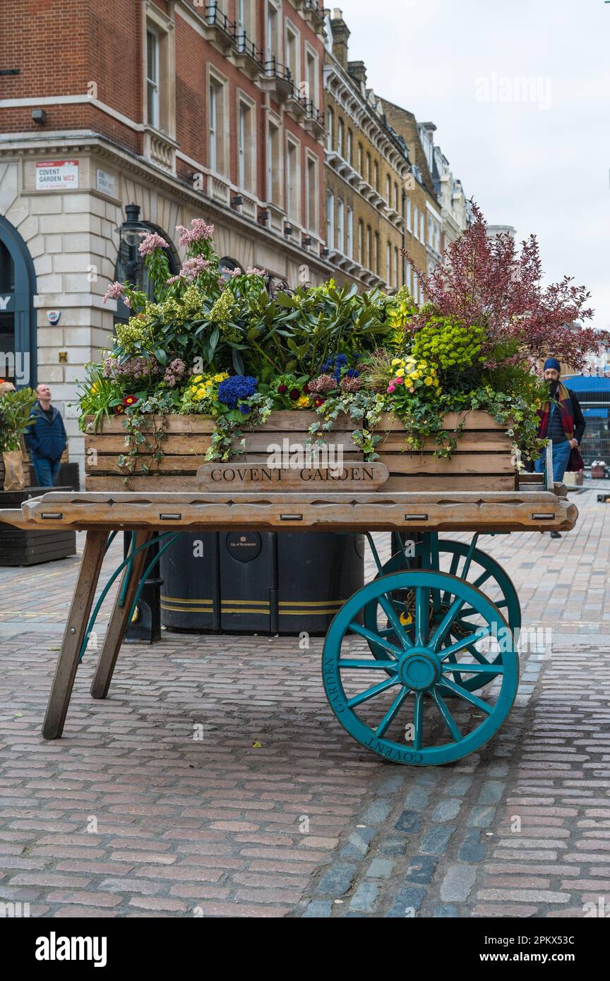 Floral display on a traditional coster market barrow. The Piazza ...