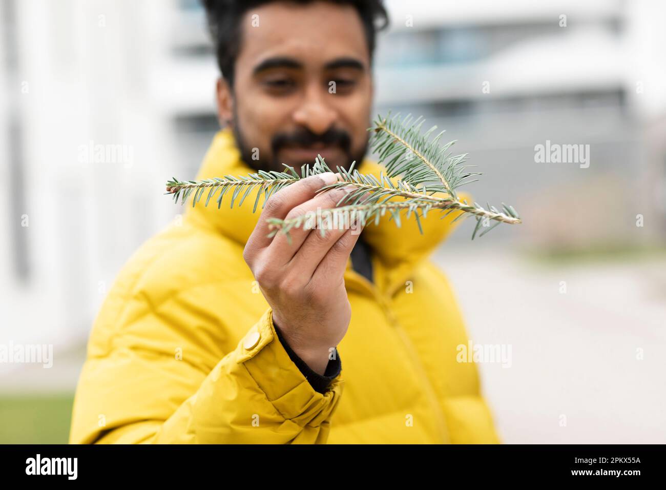 Young man holding a green blanch in the hand outside Stock Photo - Alamy
