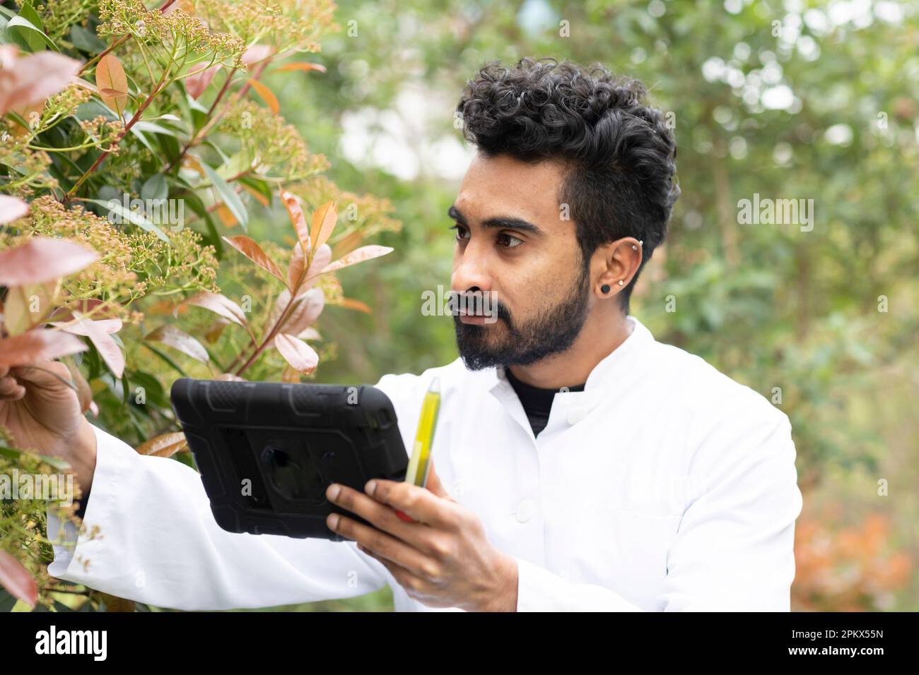 young scientist checking outside plants with tablet Stock Photo - Alamy