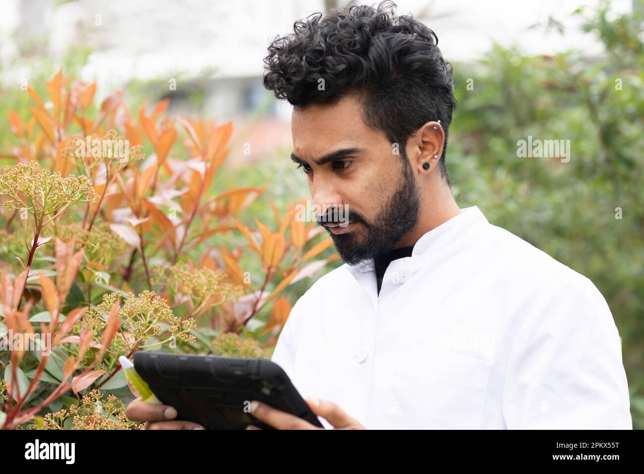 young scientist checking outside plants Stock Photo - Alamy
