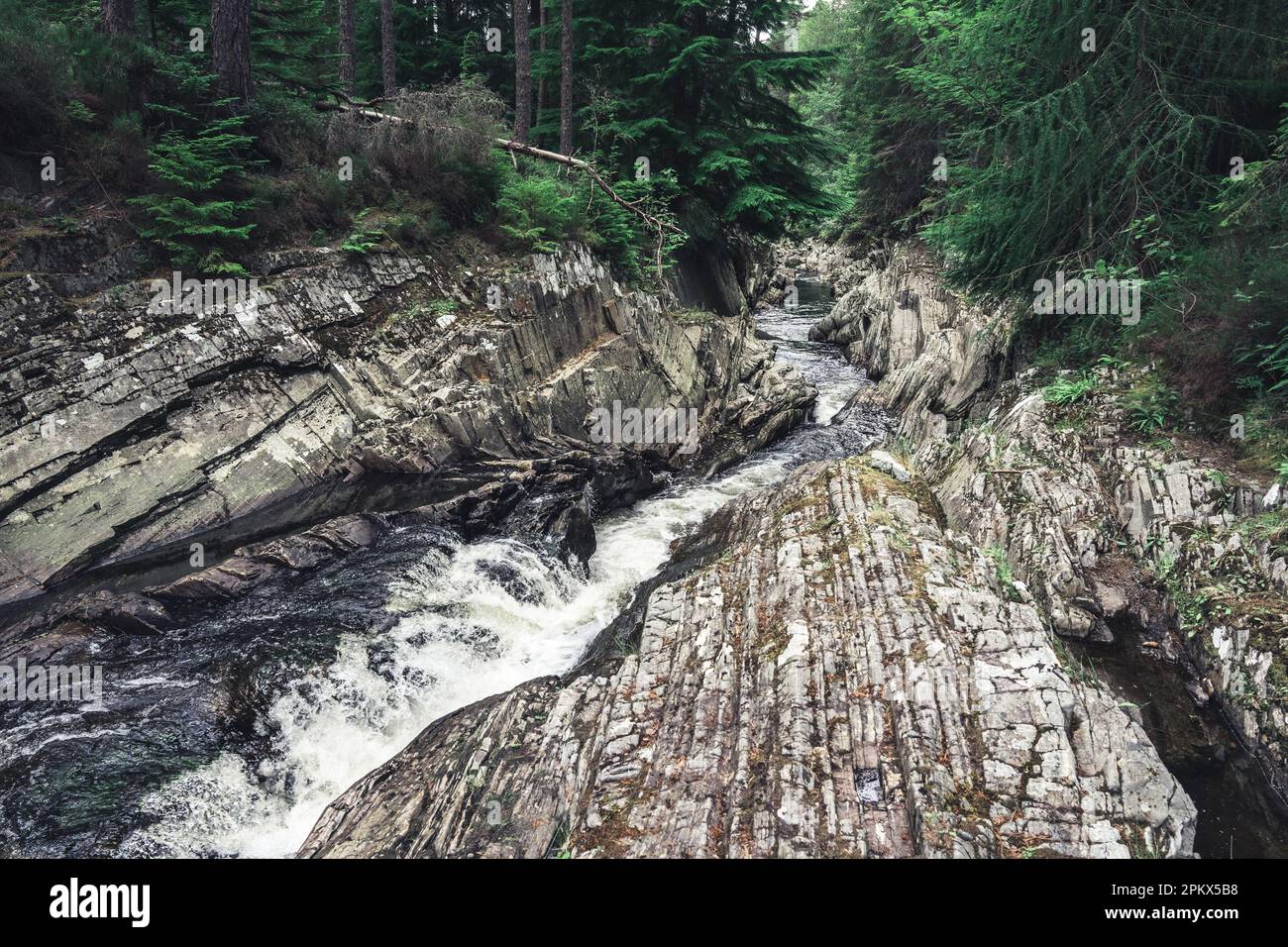 Waterfall in steep gorge in pine forest Stock Photo - Alamy
