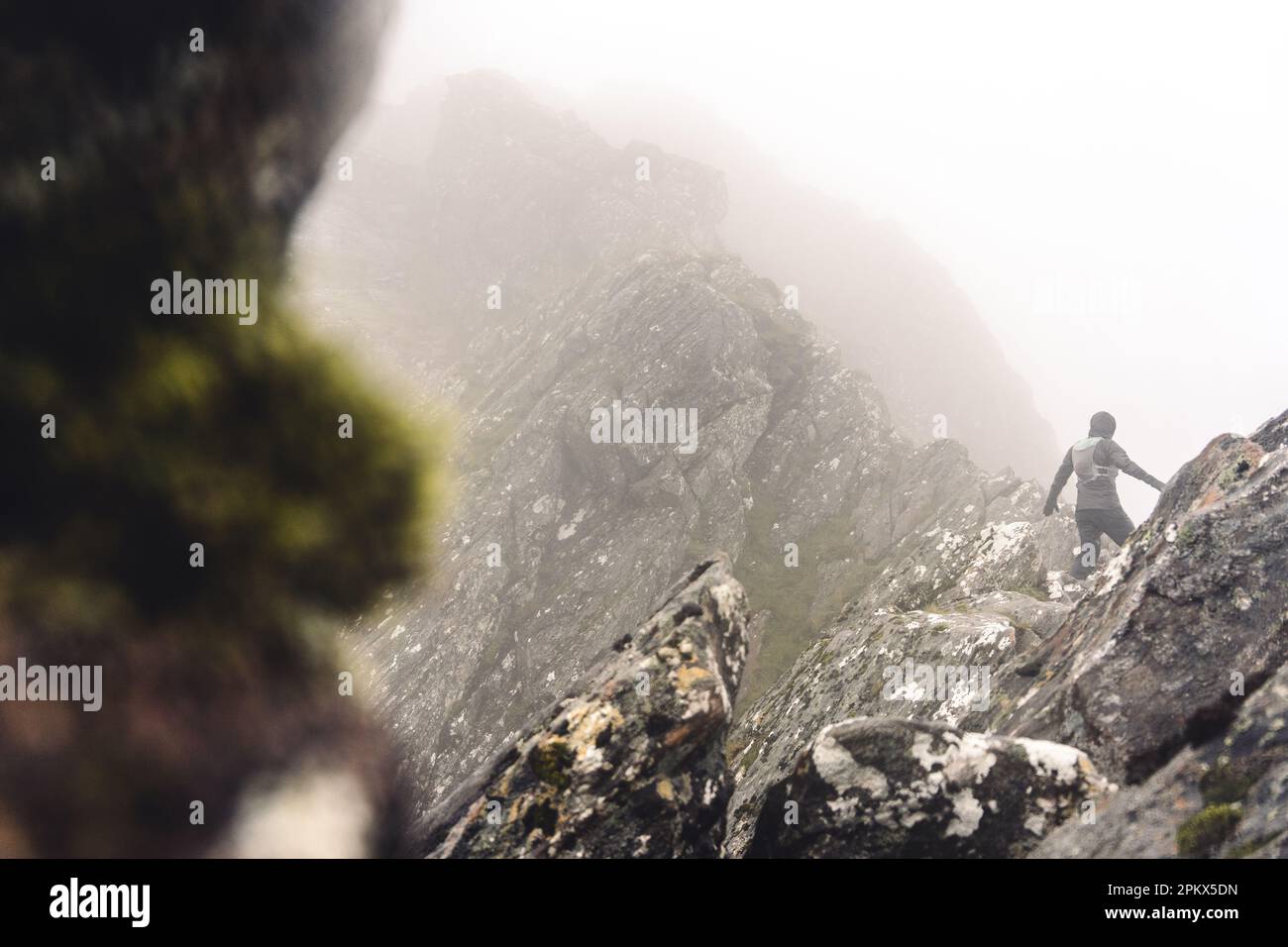 Hiker in Rain gear climbing mountain in clouds Stock Photo - Alamy
